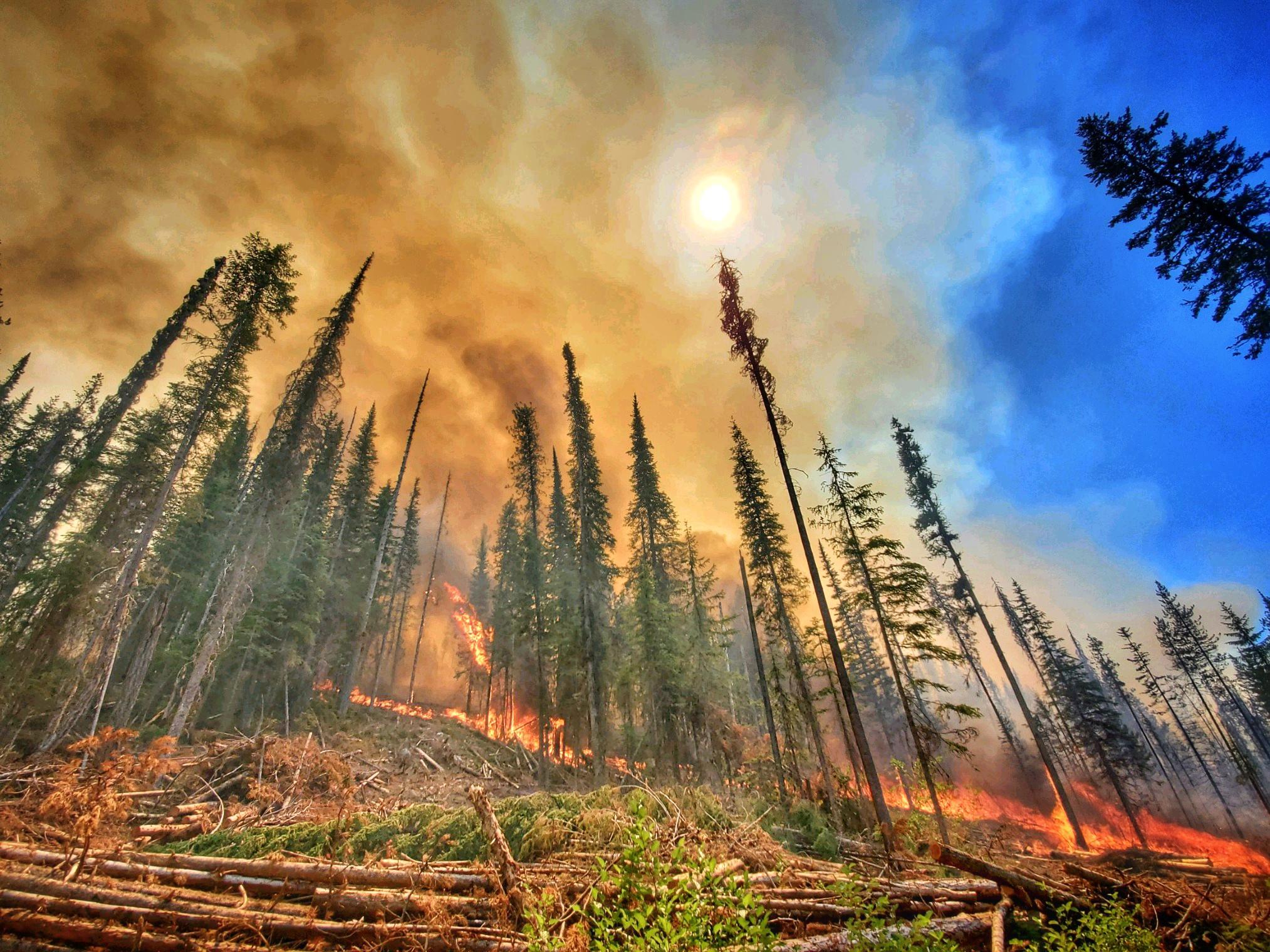 Outdoor Alliance and Public Lands Solutions Reveal Oil and Gas Leasing ...