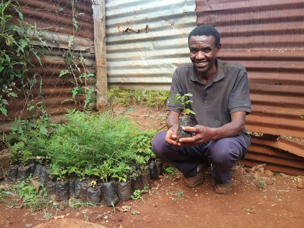 Oboz Footwear Plants 6 Million Trees with Trees for the Future | Shop ...